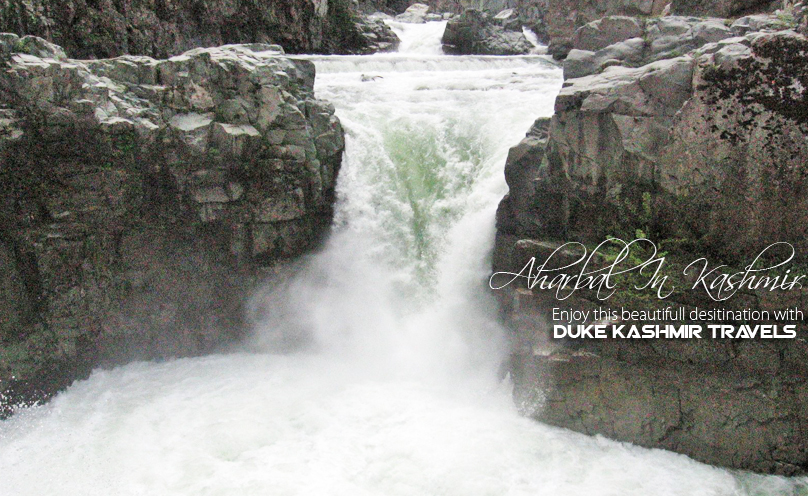 Aharbal In Kashmir Is The Famous,Highest And Gigantic Waterfall.